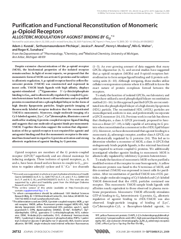 (PDF) Purification and Functional Reconstitution of Monomeric μ-Opioid ...