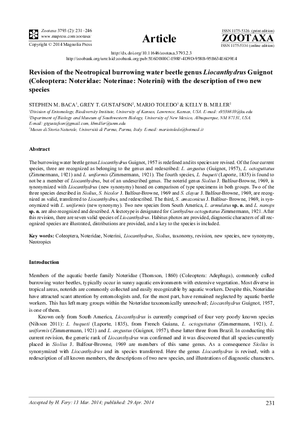 (PDF) Revision of the Neotropical burrowing water beetle genus ...