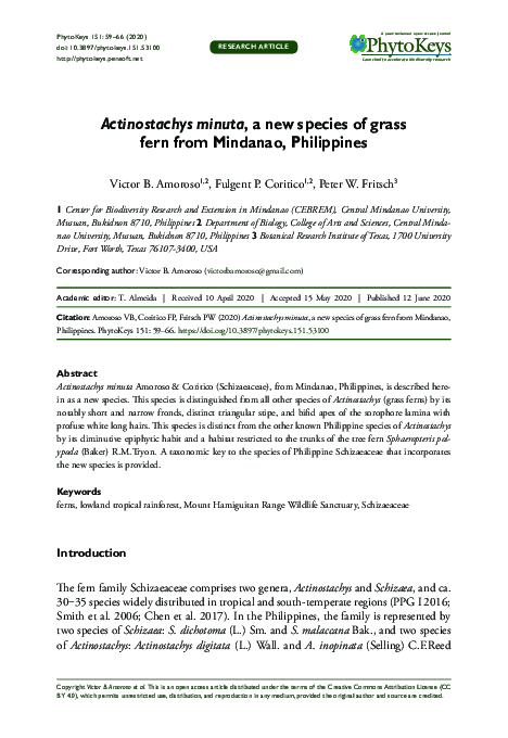 (PDF) Actinostachys minuta, a new species of grass fern from Mindanao ...