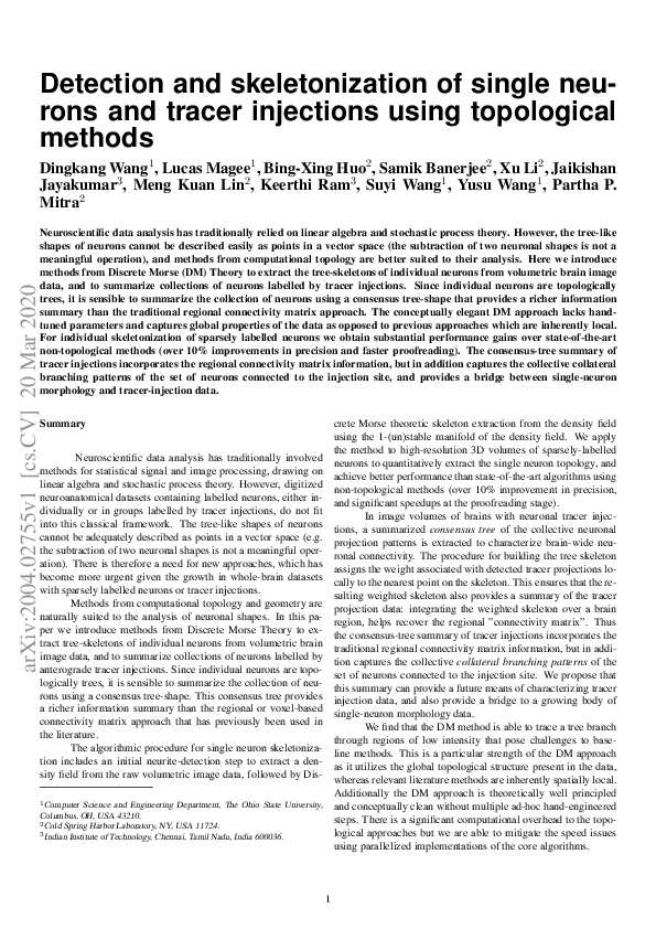 Detection and skeletonization of single neurons and tracer injections ...