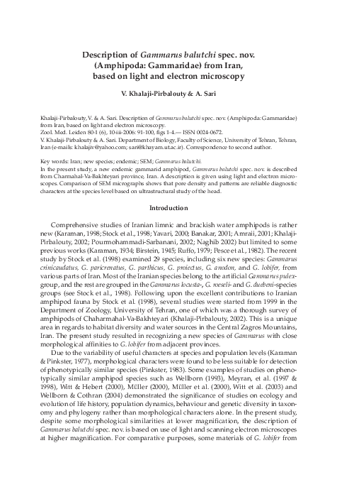 (PDF) Description of Gammarus balutchi spec. nov.(Amphipoda: Gammaridae ...