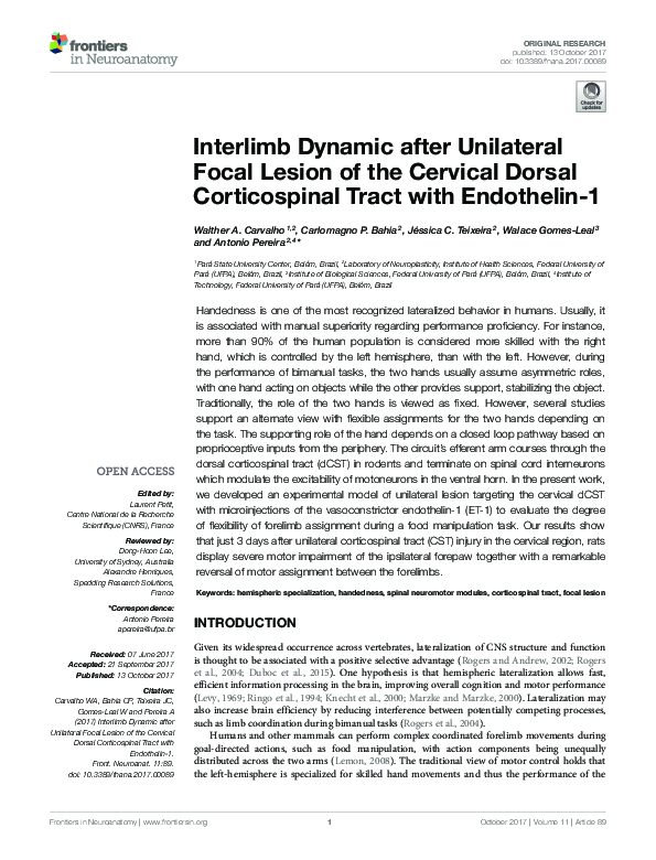 (PDF) Interlimb Dynamic after Unilateral Focal Lesion of the Cervical ...