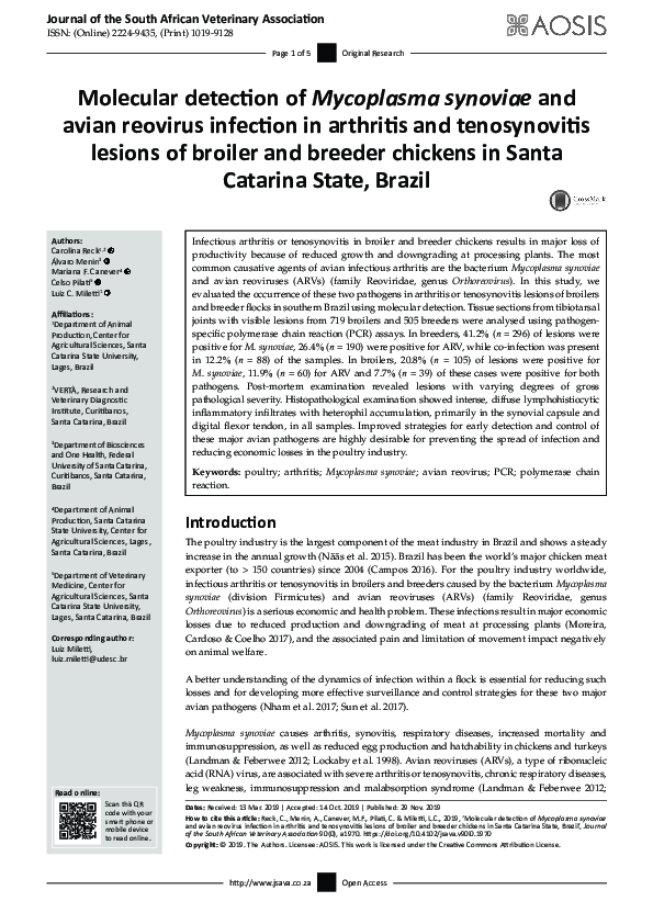 (PDF) Molecular detection of Mycoplasma synoviae and avian reovirus ...