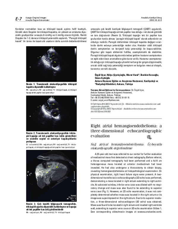 (PDF) Right atrial hemangioendothelioma: a three-dimensional ...