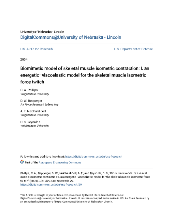 Biomimetic model of skeletal muscle isometric contraction: II. A ...