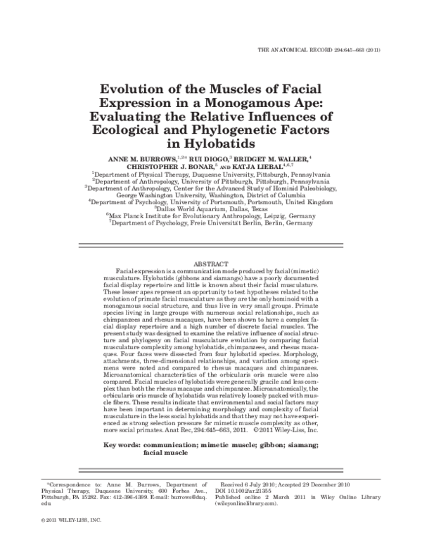 Evolution of the Muscles of Facial Expression in a Monogamous Ape ...