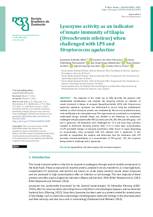 (PDF) Lysozyme activity as an indicator of innate immunity of tilapia ...