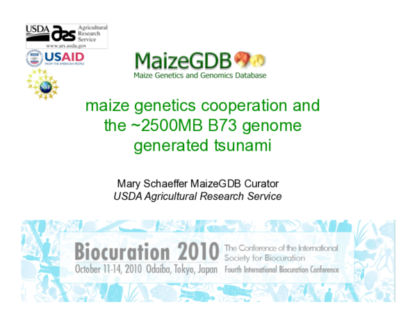 (PDF) MaizeGDB , maize genetics cooperation and the ~2500MB B73 genome ...