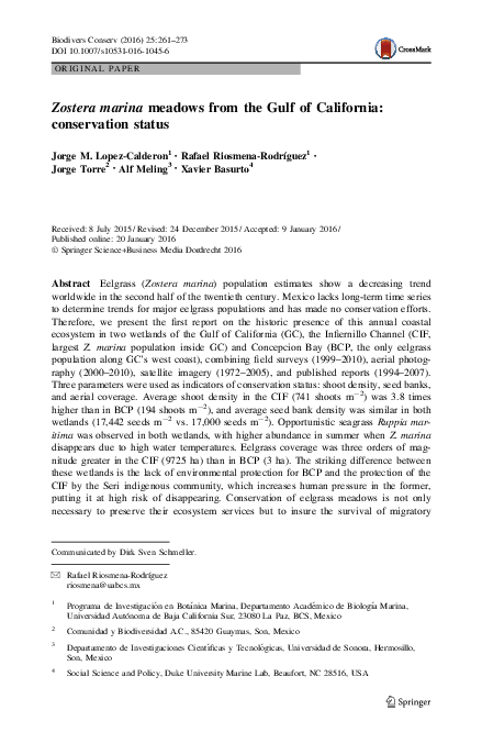 (PDF) Zostera marina meadows from the Gulf of California: conservation ...
