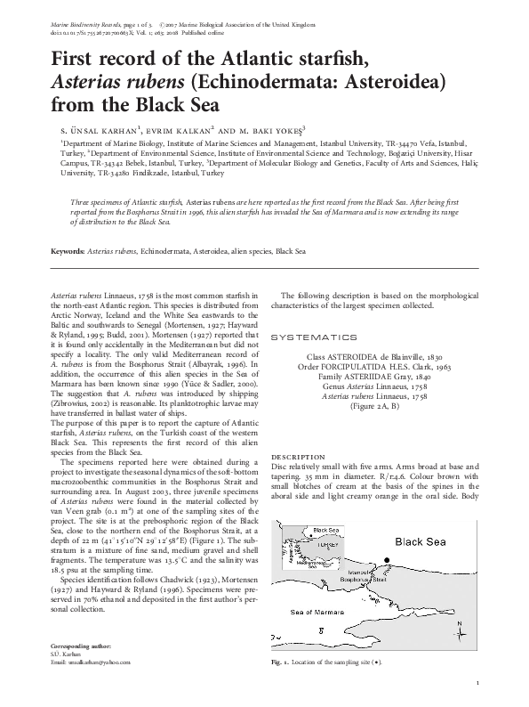 First record of the Atlantic starfish, Asterias rubens (Echinodermata ...