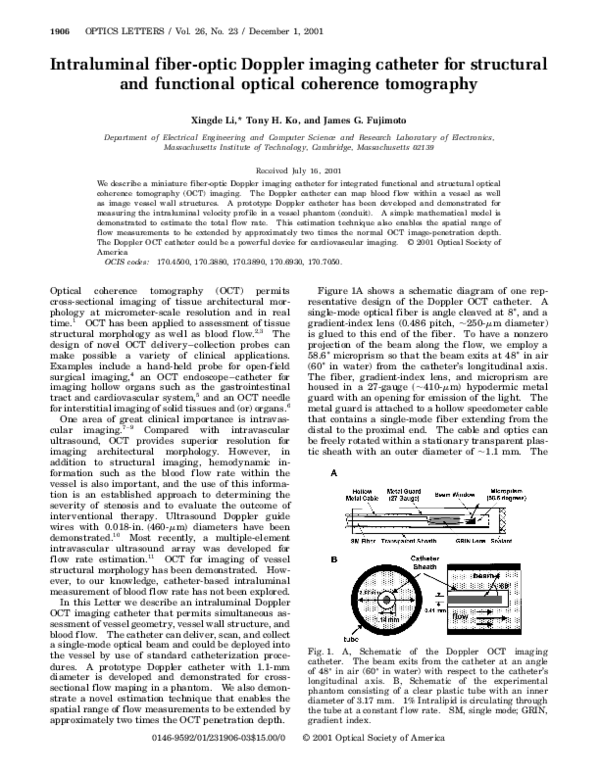 (PDF) Intraluminal fiber-optic Doppler imaging catheter for structural ...