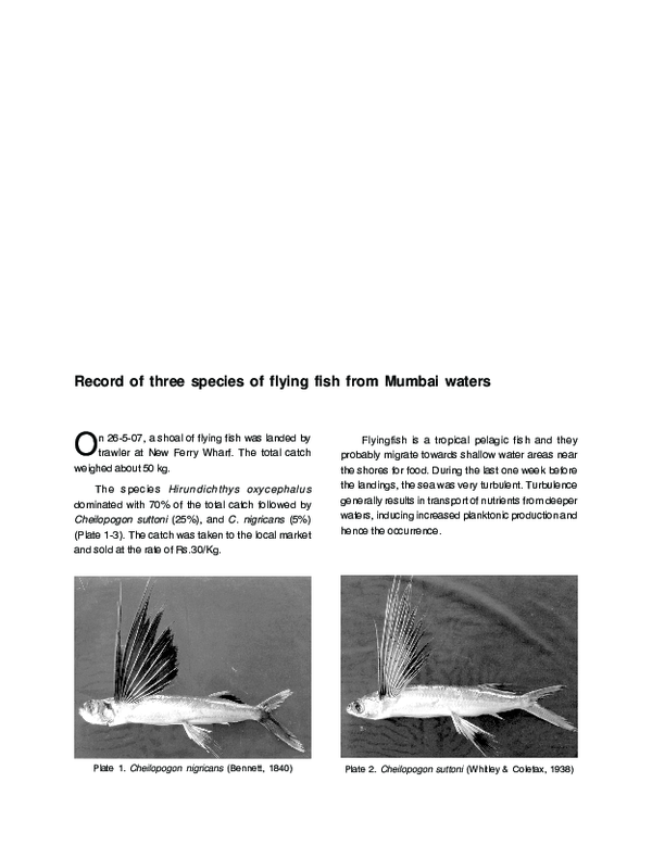 (PDF) Record of three species of flying fish from Mumbai waters