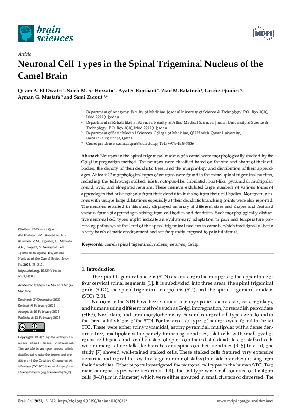 (PDF) Neuronal Cell Types in the Spinal Trigeminal Nucleus of the Camel Brain