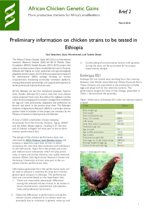 (PDF) Preliminary information on chicken strains to be tested in Ethiopia