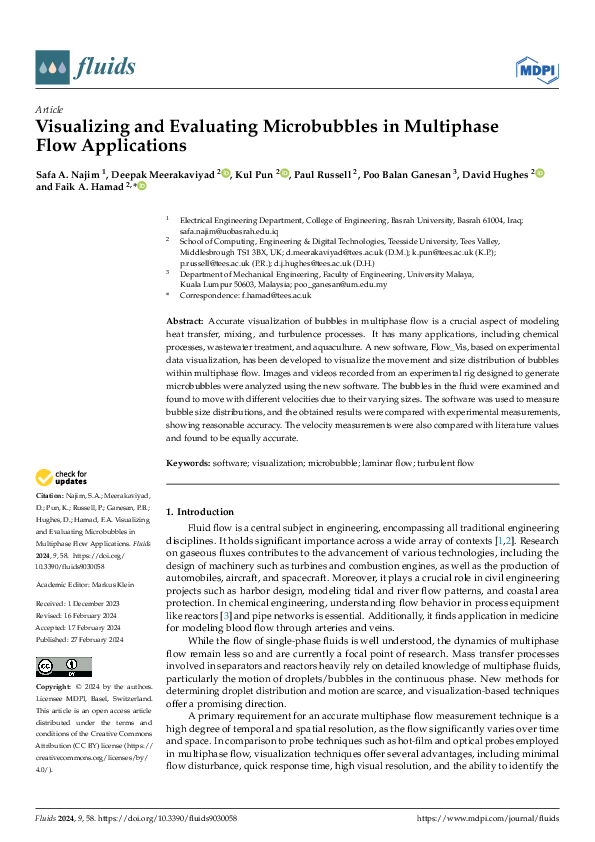 Visualizing and Evaluating Microbubbles in Multiphase Flow Applications