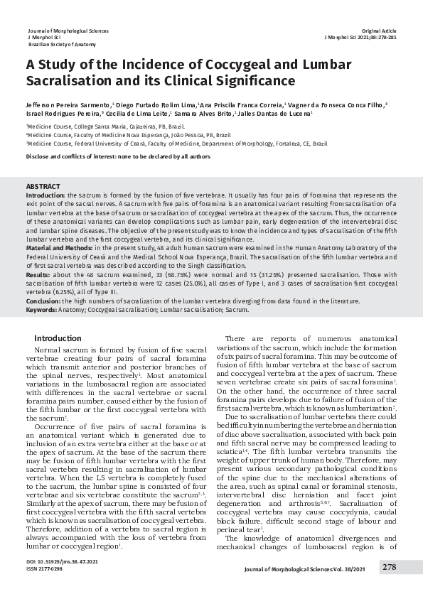 (PDF) A Study of the Incidence of Coccygeal and Lumbar Sacralisation ...