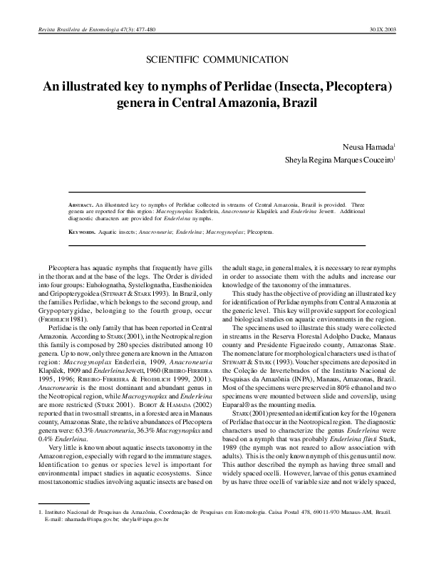 (PDF) An illustrated key to nymphs of Perlidae (Insecta, Plecoptera ...