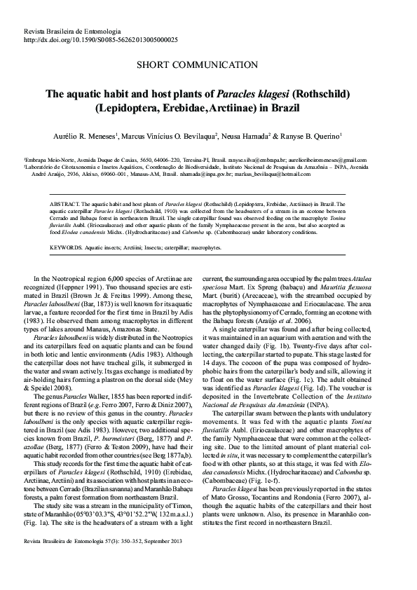 (PDF) The aquatic habit and host plants of Paracles klagesi (Rothschild ...