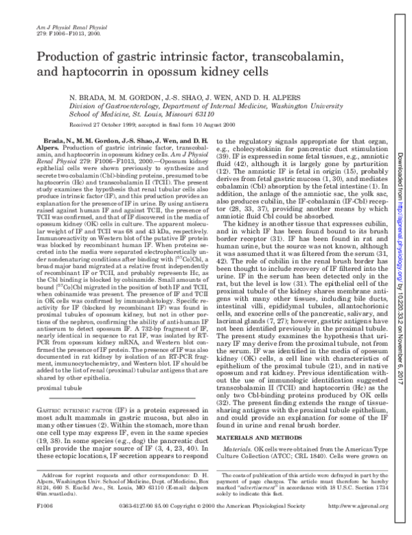 Production of gastric intrinsic factor, transcobalamin, and haptocorrin ...