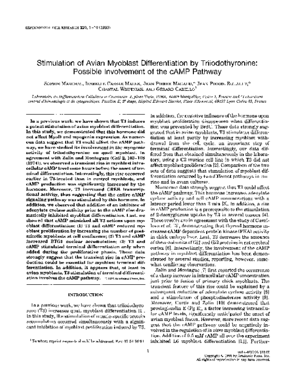 (PDF) Stimulation of Avian Myoblast Differentiation by Triiodothyronine: Possible Involvement of ...