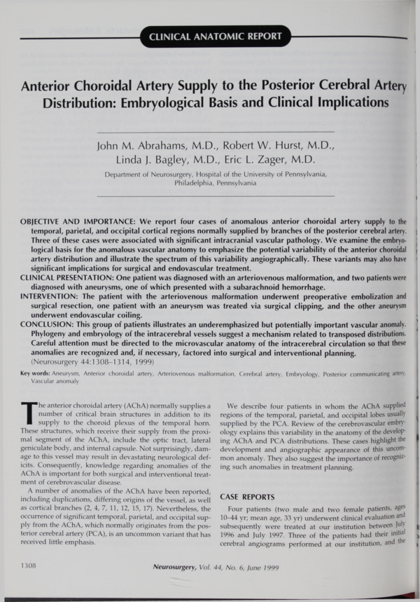 (PDF) Anterior Choroidal Artery Supply to the Posterior Cerebral Artery ...