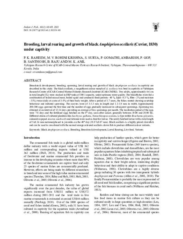 (PDF) Breeding, larval rearing and growth of black Amphiprion ocellaris ...