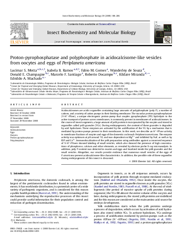 (PDF) Proton-pyrophosphatase and polyphosphate in acidocalcisome-like ...