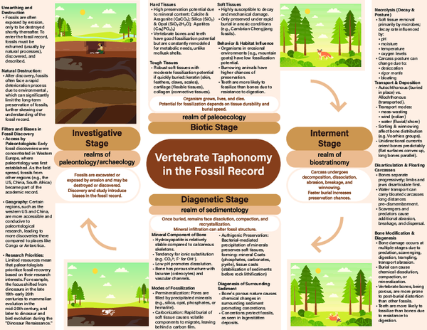 (PDF) Vertebrate Taphonomy in the Fossil Record