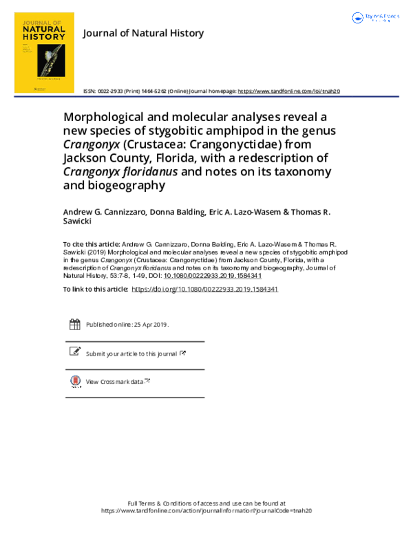 (PDF) Morphological and molecular analyses reveal a new species of ...