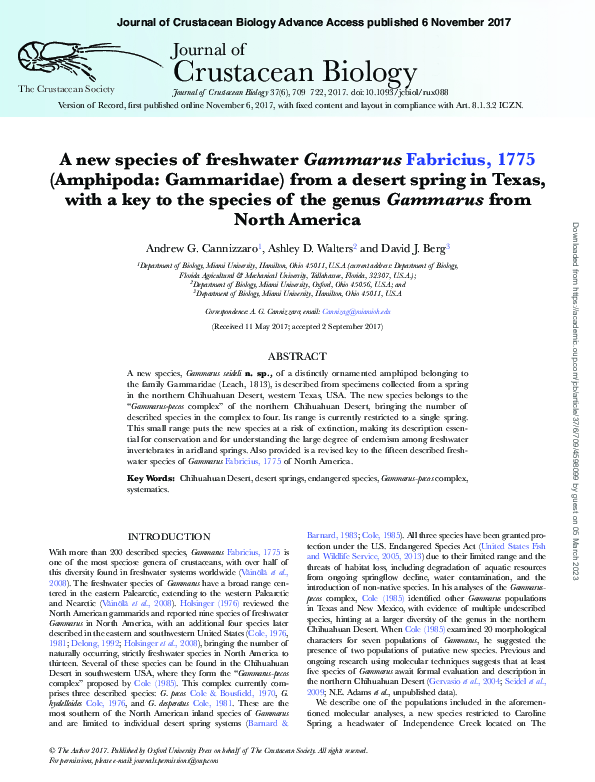 (PDF) A new species of freshwater Gammarus Fabricius, 1775 (Amphipoda ...