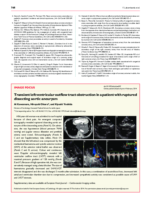 (PDF) Transient left ventricular outflow tract obstruction in a patient ...