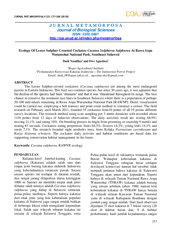 (PDF) Ecology Of Lesser Sulphur Creasted Cockatoo Cacatua Sulphurea Sulphurea At Rawa Aopa ...