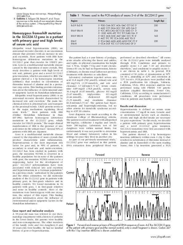 (PDF) Homozygous frameshift mutation in the SLC22A12 gene in a patient ...