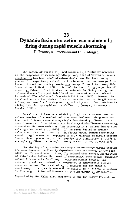 (PDF) Dynamic fusimotor action can maintain Ia firing during rapid ...