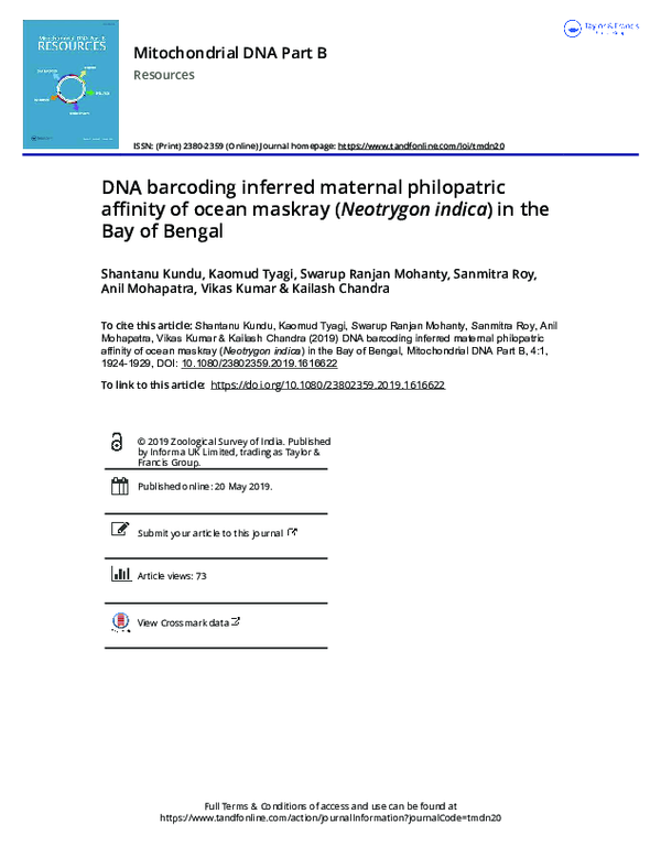 DNA barcoding inferred maternal philopatric affinity of ocean maskray ...