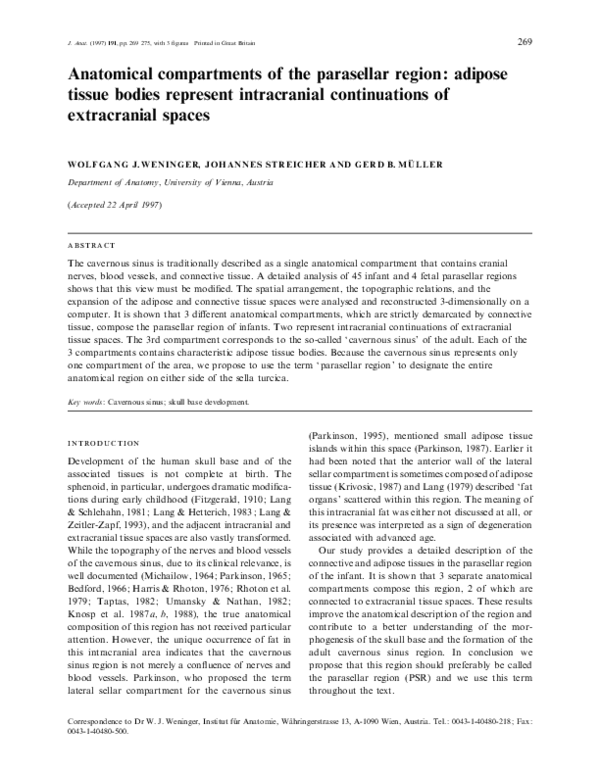 (PDF) Anatomical compartments of the parasellar region: adipose tissue ...