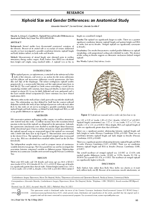 (PDF) Xiphoid Size and Gender Differences: An Anatomical Study