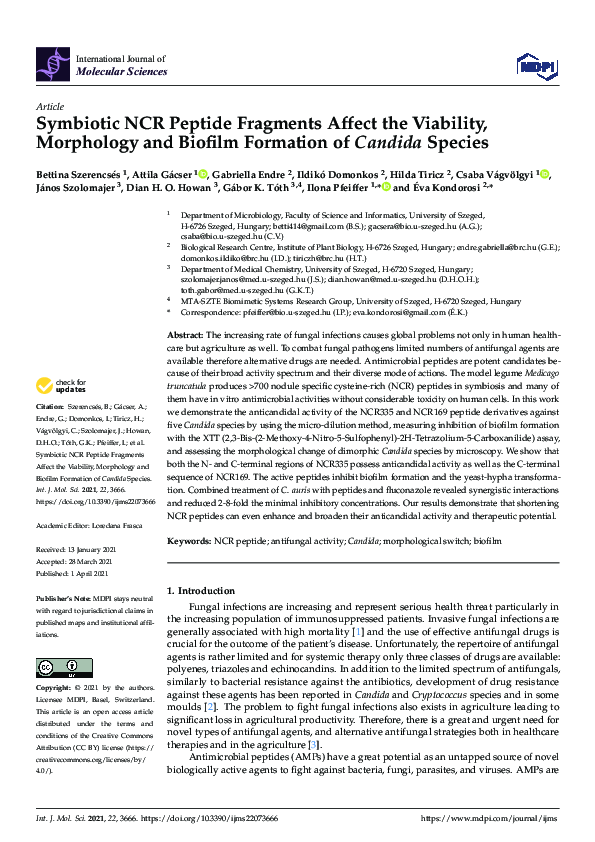 (PDF) Symbiotic NCR Peptide Fragments Affect the Viability, Morphology ...