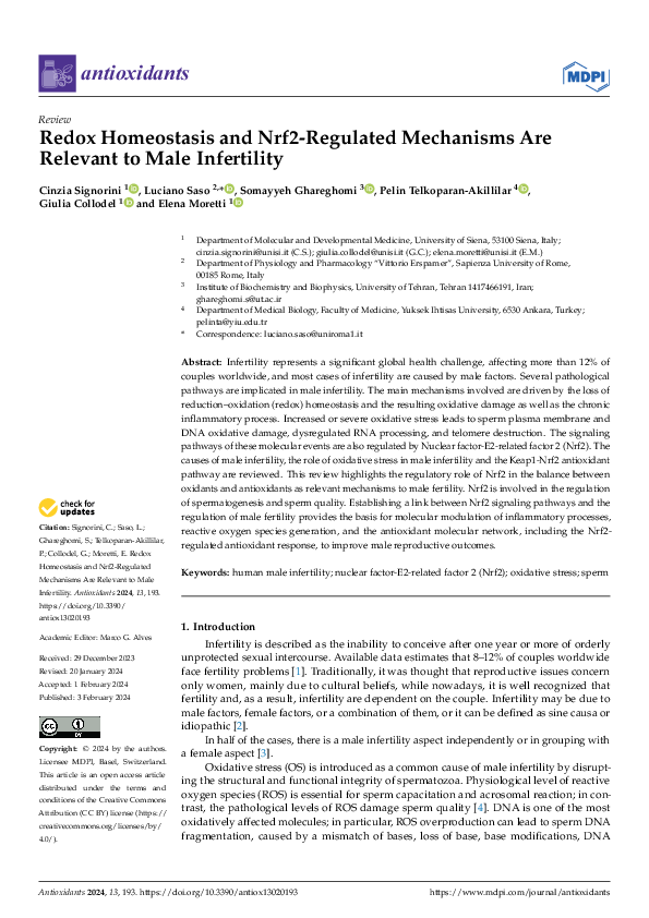 (PDF) Redox Homeostasis and Nrf2-Regulated Mechanisms Are Relevant to ...