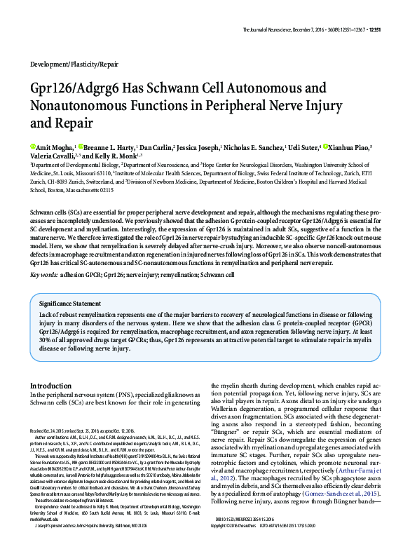 (PDF) Gpr126/Adgrg6 Has Schwann Cell Autonomous and Nonautonomous ...