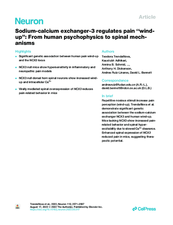 (PDF) Sodium-Calcium Exchanger-3 Regulates Pain ‘Wind-Up’: From Human ...