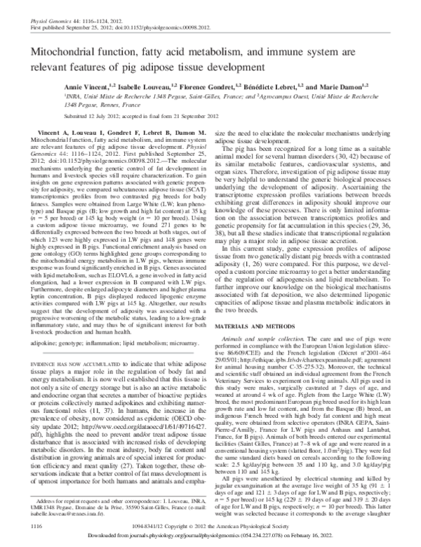 Mitochondrial function, fatty acid metabolism, and immune system are ...