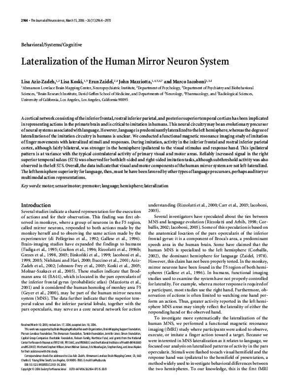 (PDF) Lateralization of the Human Mirror Neuron System