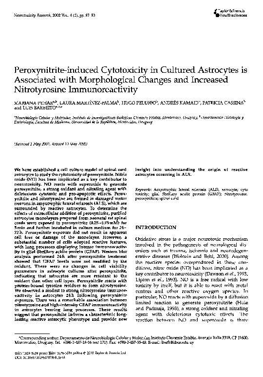 (PDF) Peroxynitrite-induced cytotoxicity in cultured astrocytes is ...