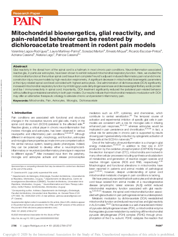 (PDF) Mitochondrial bioenergetics, glial reactivity, and pain-related ...