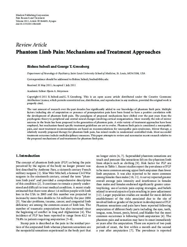 (PDF) Phantom Limb Pain: Mechanisms and Treatment Approaches