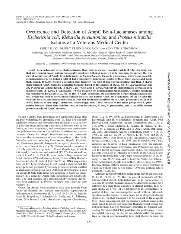 (PDF) Occurrence and detection of AmpC beta-lactamases among ...