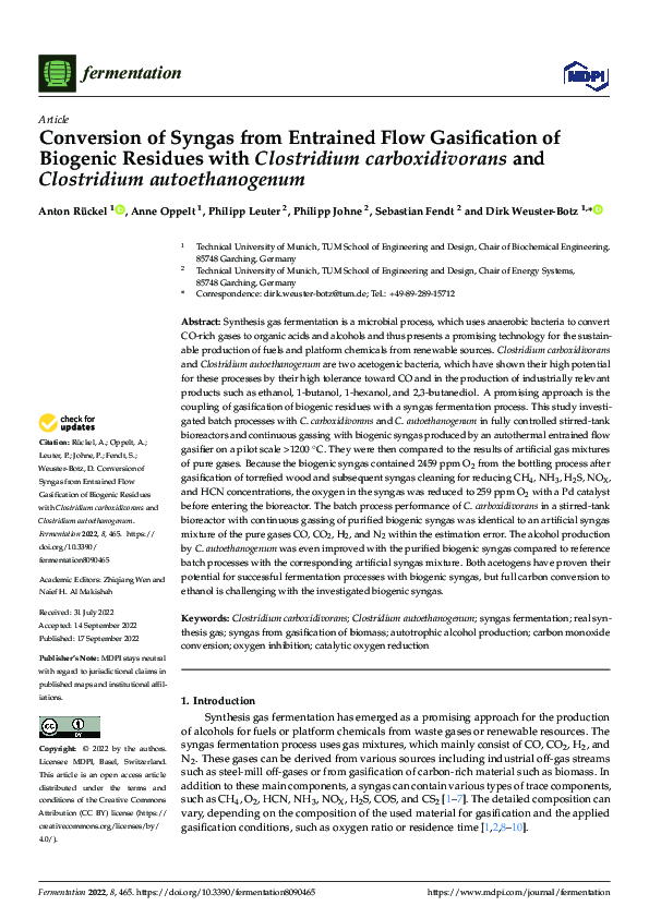 (PDF) Conversion of Syngas from Entrained Flow Gasification of Biogenic ...