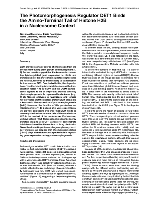 (PDF) The Photomorphogenesis Regulator DET1 Binds the Amino-Terminal ...