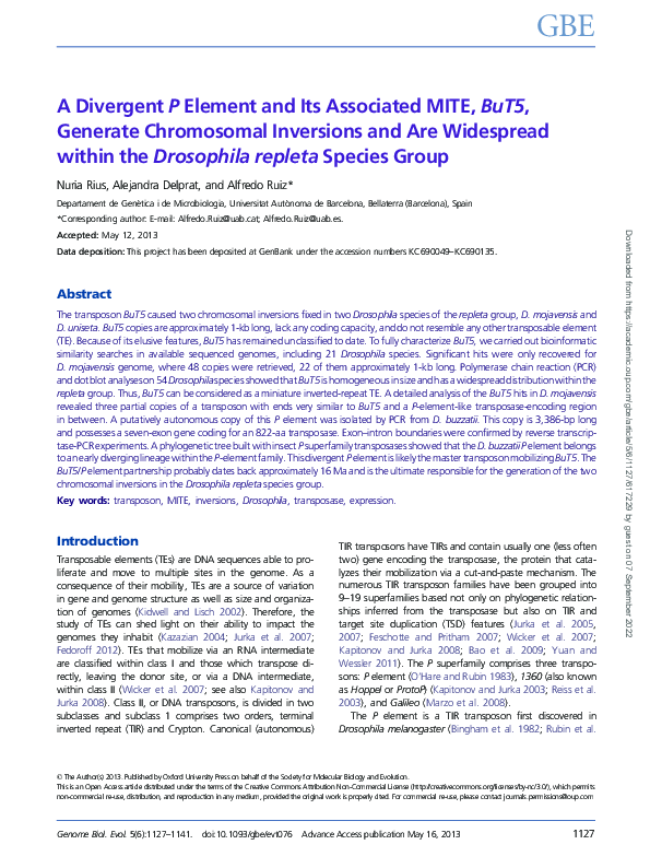 (PDF) A Divergent P Element and Its Associated MITE, BuT5, Generate ...